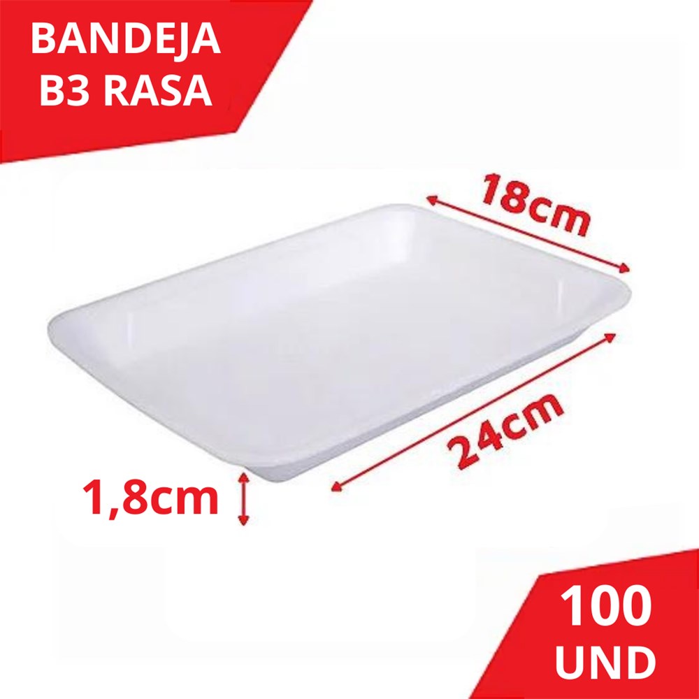 BANDEJA ISOPOR B3 RASA 100UN | Shopee Brasil