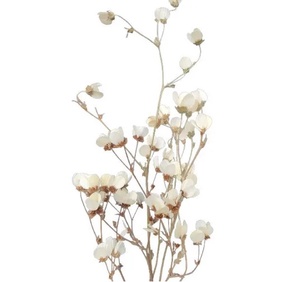 Galhos Seco De Mosquitinho Natural Decoração Enfeite | Shopee Brasil
