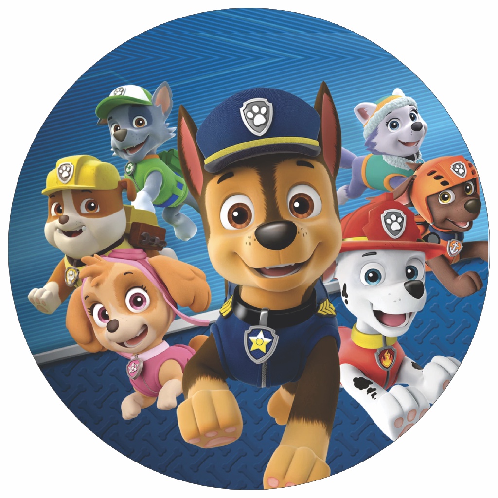 Painel Festa Redondo Sublimado 3d Tecido C/elástico 1,5 Diam PATRULHA CANINA | Shopee Brasil