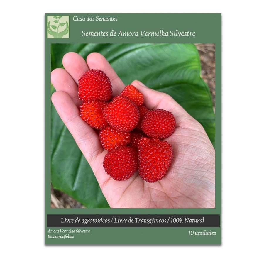 Kit Sementes de Amora Vermelha Silvestre para plantio de Mudas da fruta ...