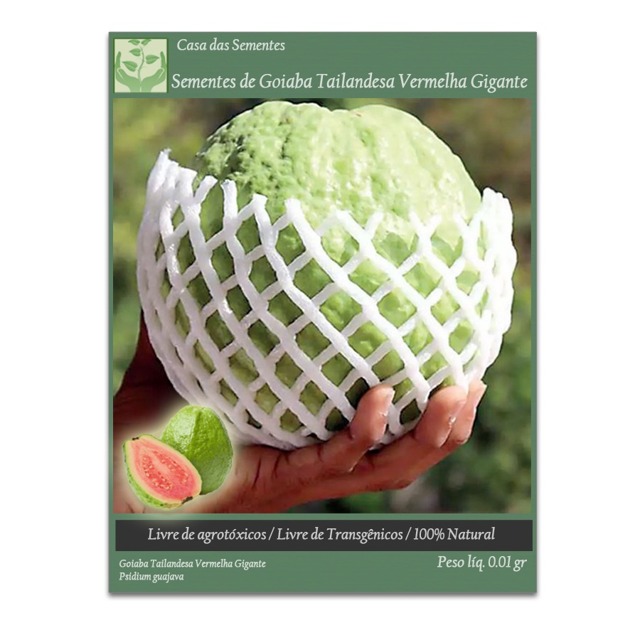 Kit Sementes de Goiaba Tailandesa Vermelha Gigante para plantio de ...