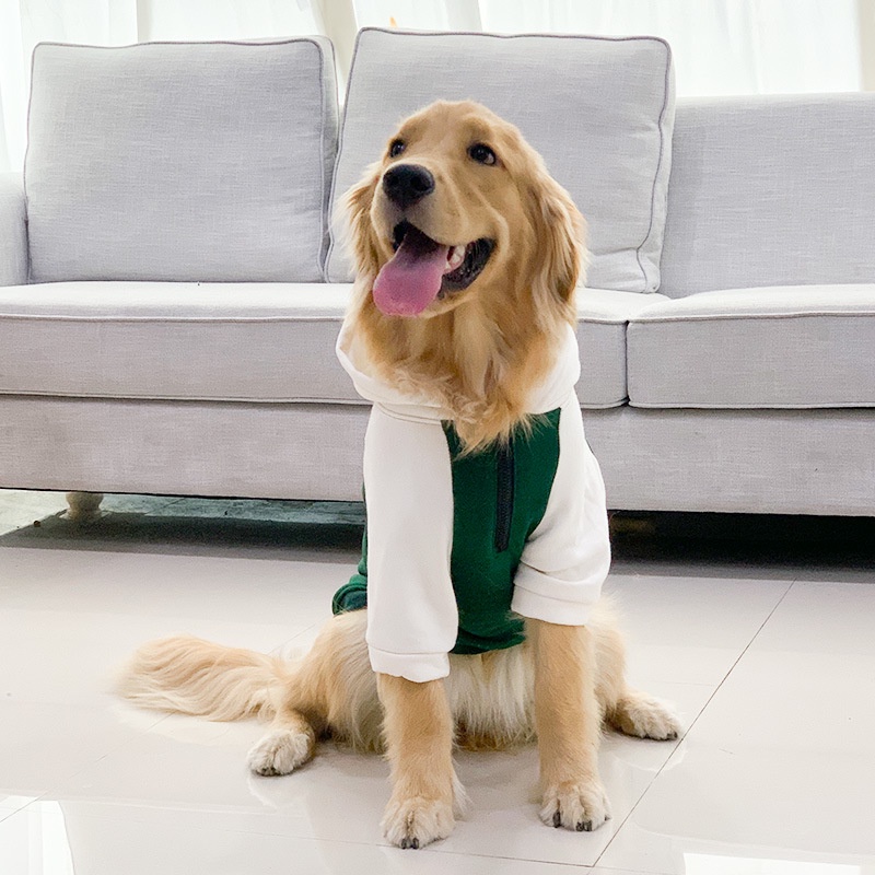 Roupas De Cão Grande De Primavera Outono Estilo Fino Golden Retriever ...