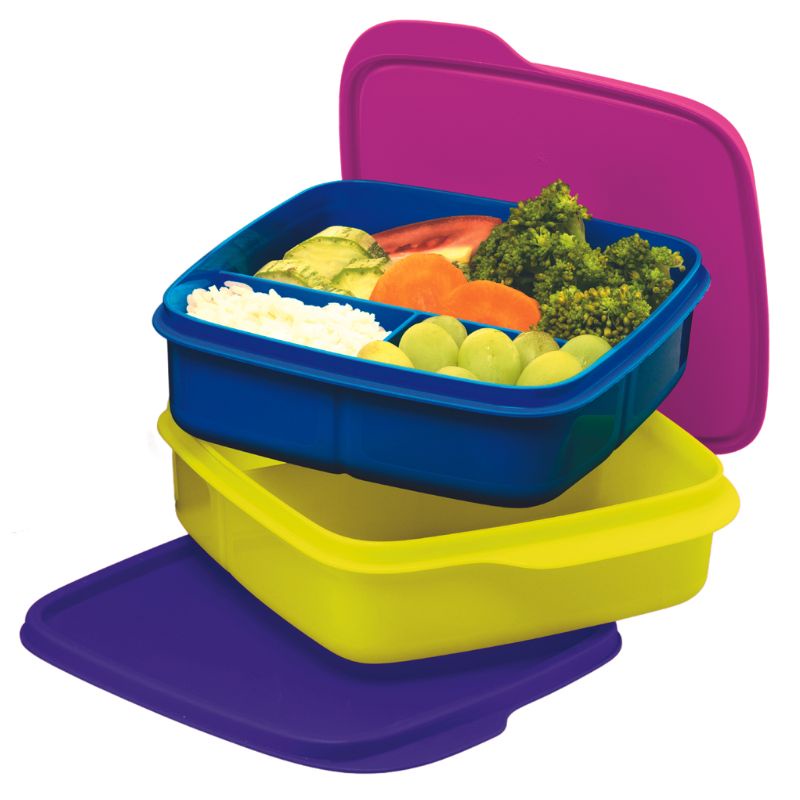 Tupperware Kit Basic Line 550ml Com Divisórias 2 Pecas | Shopee Brasil