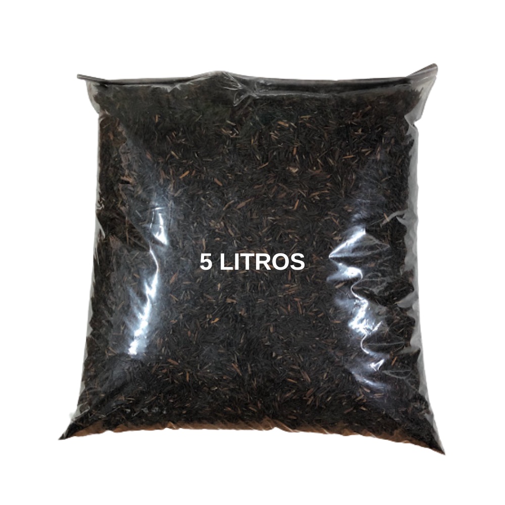 Casca de Arroz Carbonizada Substrato Natural 5 Litros | Shopee Brasil