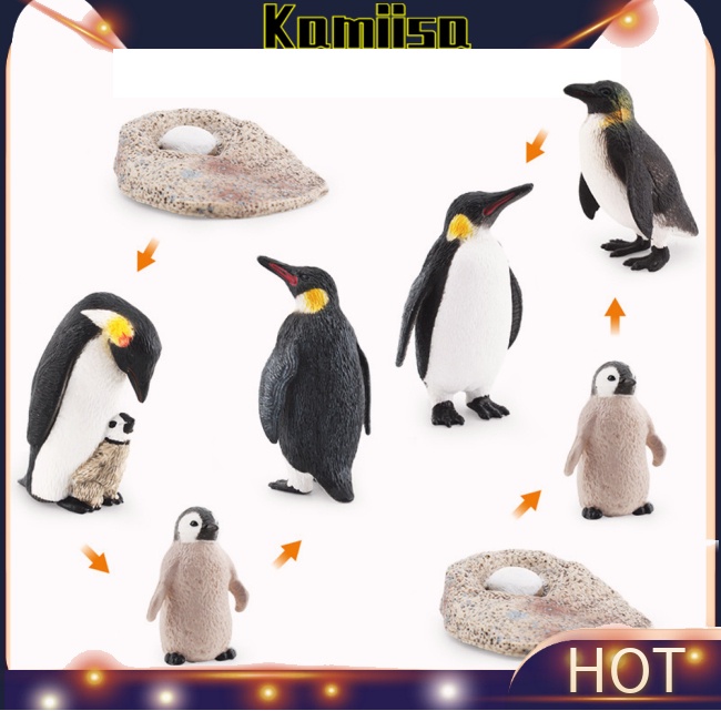 Kami Realistic Penguin Action Figures Ciclo De Crescimento Vida Modelo ...