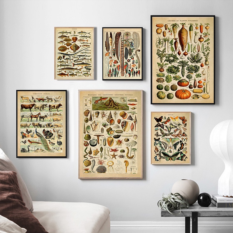 Pôster Botânico Vintage Bio Wall Doll Sea Creature Canvas Pintura ...