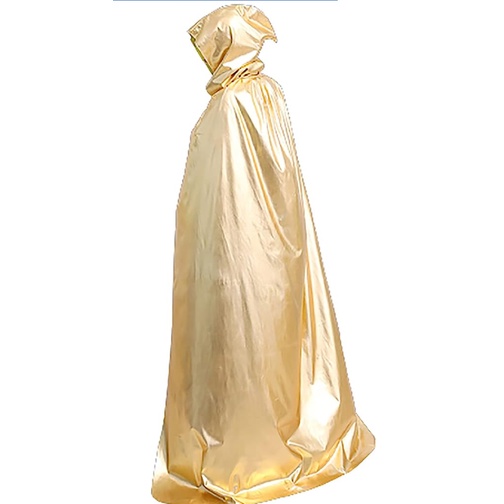 Fantasia De Halloween, Com Capuz Capas De Cosplay Wizard | Shopee Brasil