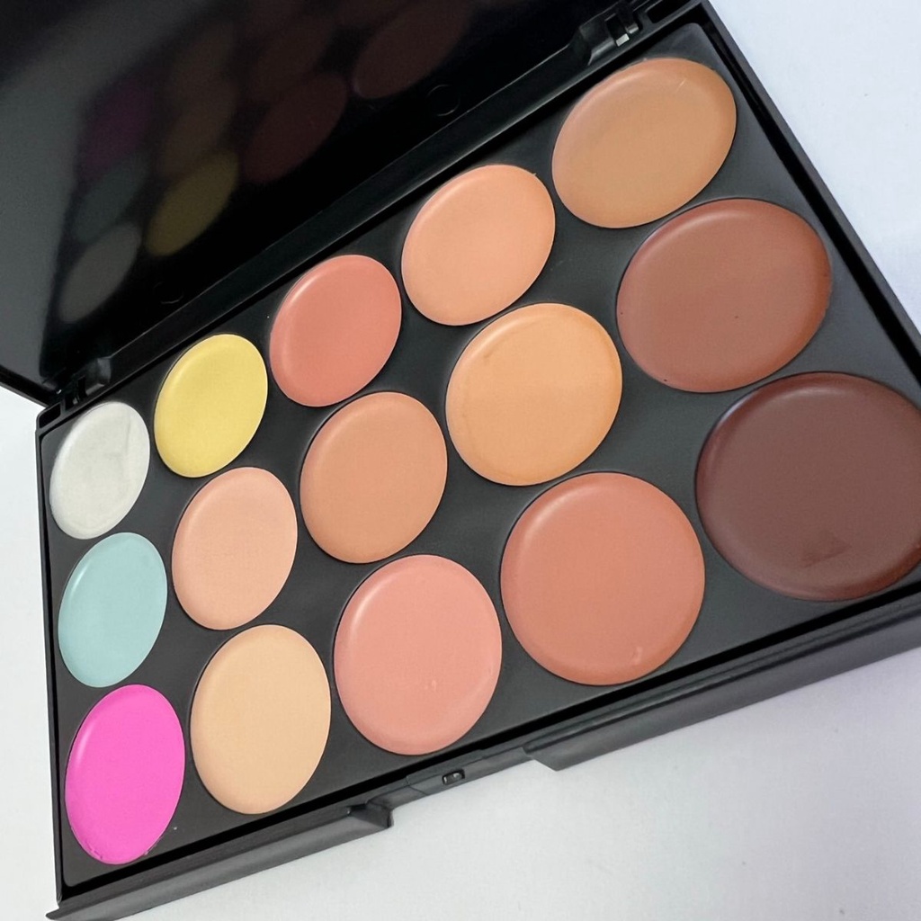 Paleta De Base Corretivo 15 Cores Maquiagem Profissional | Shopee Brasil