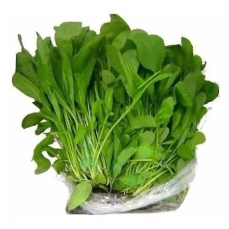 SEMENTES DE RUCULA CULTIVADA VARIEDADE TRADICIONAL 2g ISLA | Shopee Brasil