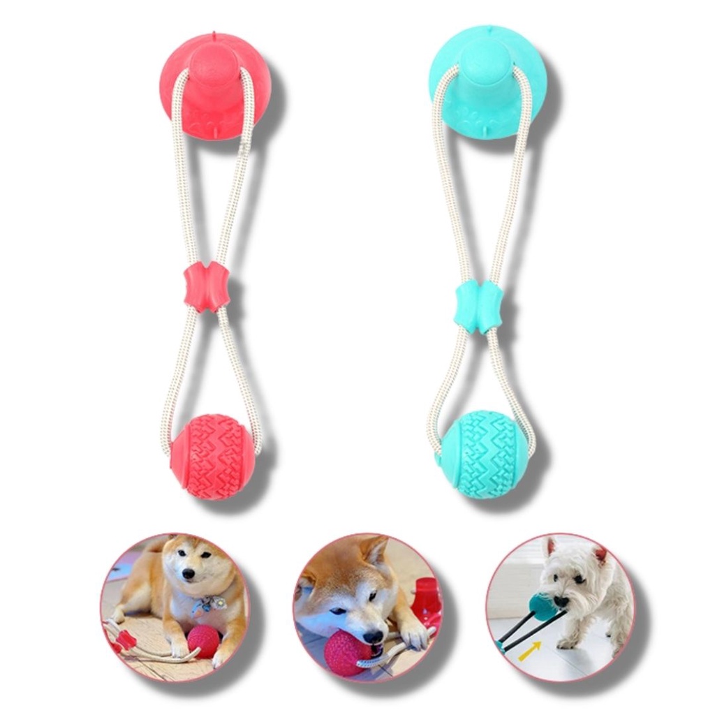 Brinquedo Interativo para Cachorro Pet Corda com Ventosa Push Ball ...