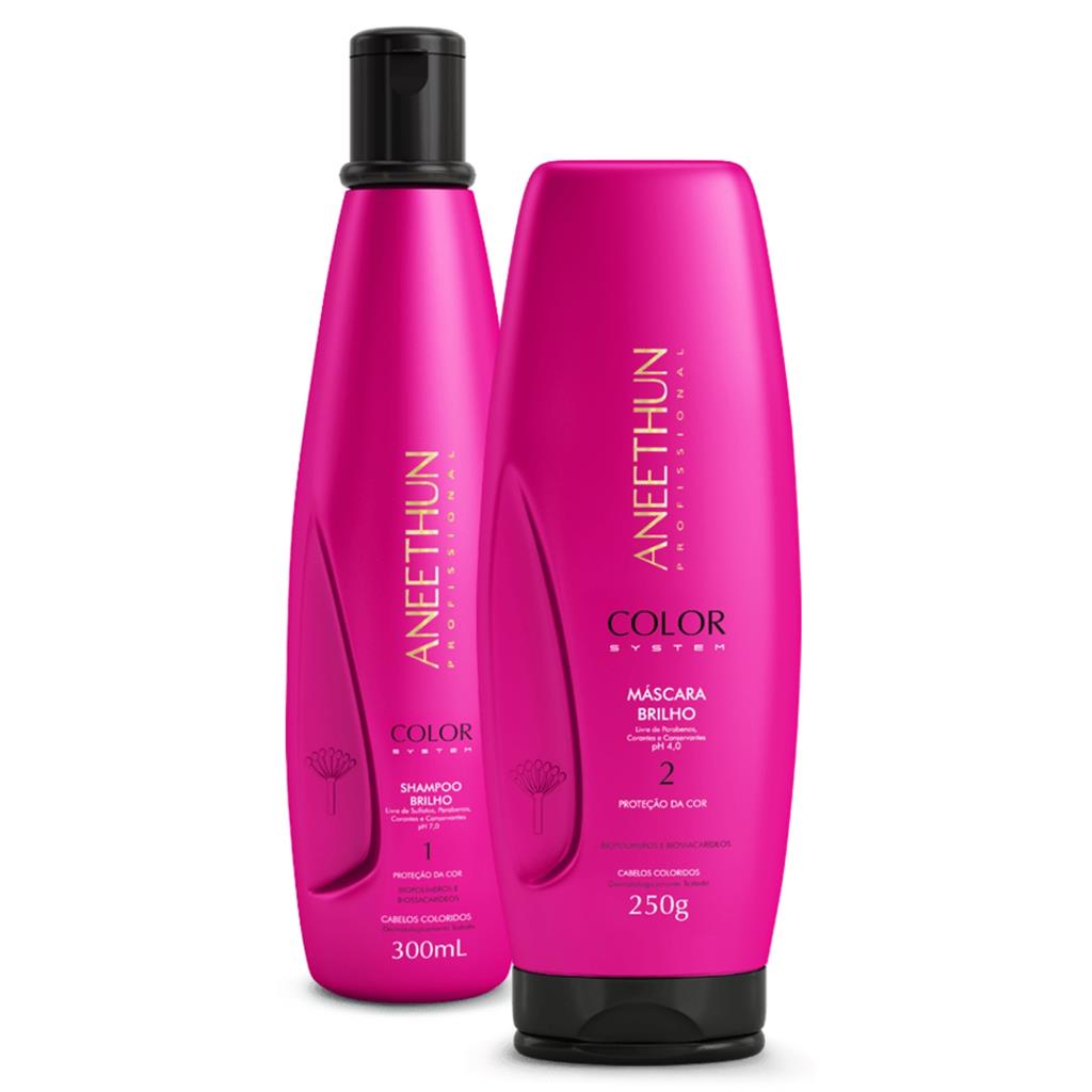 Kit Shampoo 300ml e Máscara 250g Aneethun Color System | Shopee Brasil