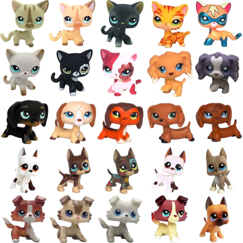 LPS CAT pequena loja rara bobble cabeça muito IC63. | Shopee Brasil
