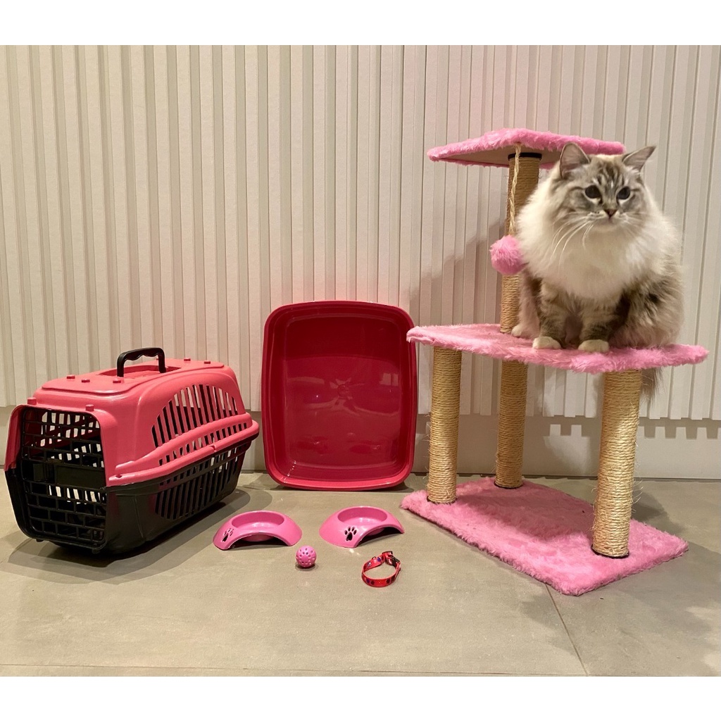 Arranhador Gato Kit Completo 3 Bases Premium | Shopee Brasil