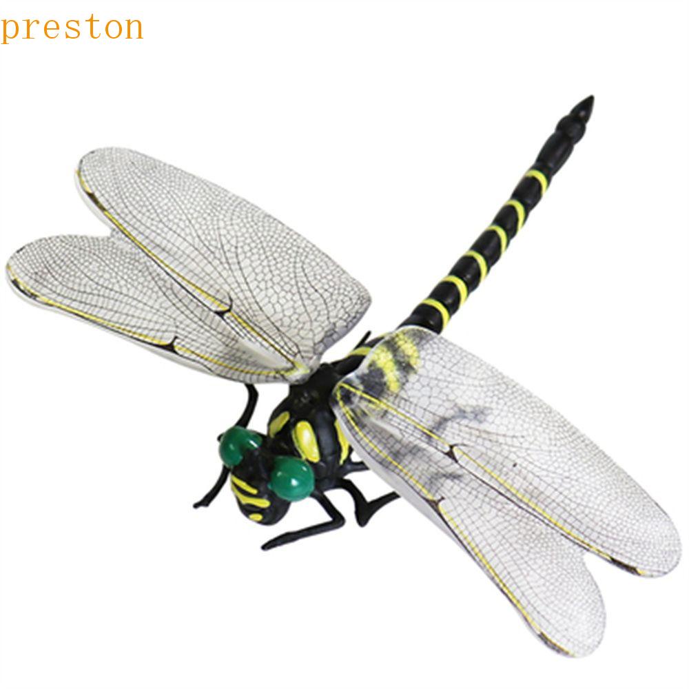 PRESTON Modelo Libélula Brinquedos Educativos Infantis Ciência Animal ...
