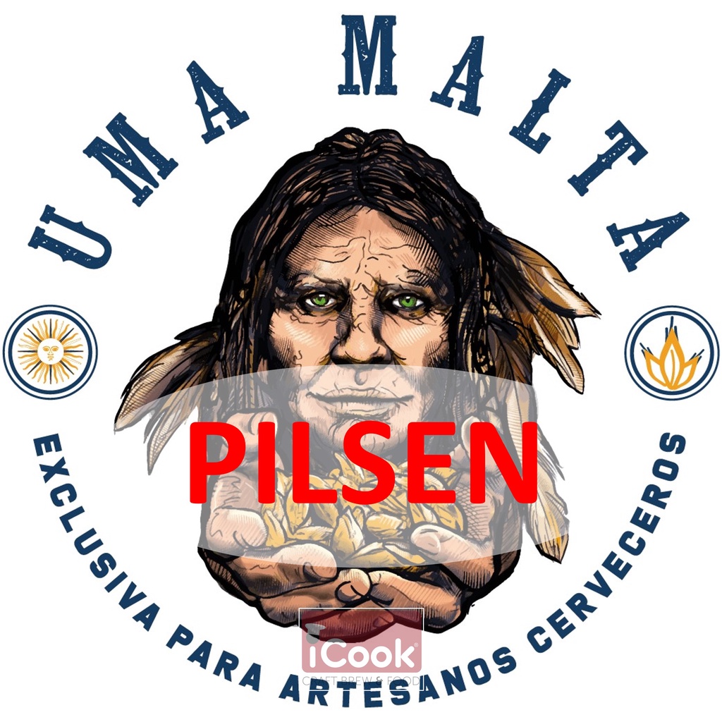 MALTE PILSEN - 500g | Shopee Brasil