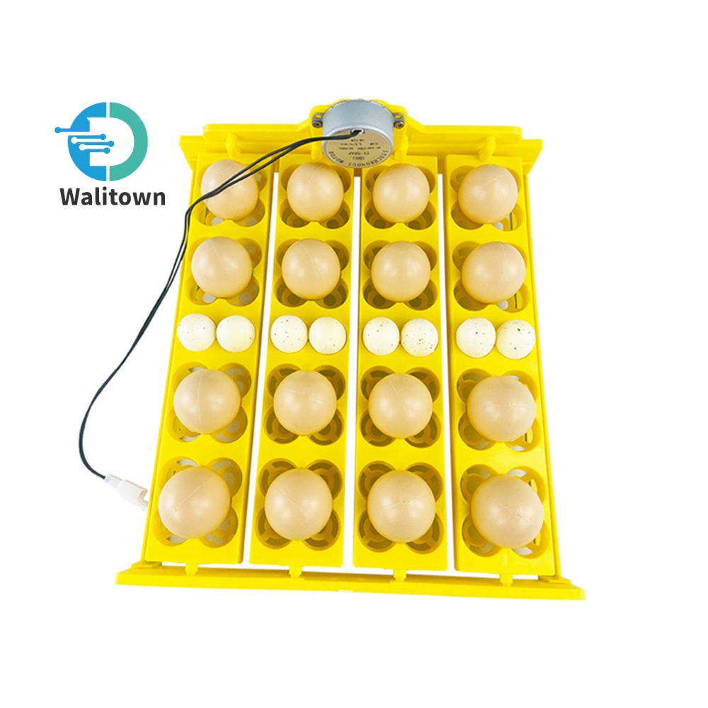 AC110V/220V 16PCS Flor De Quatro Folhas Incubadora Multifuncional ...