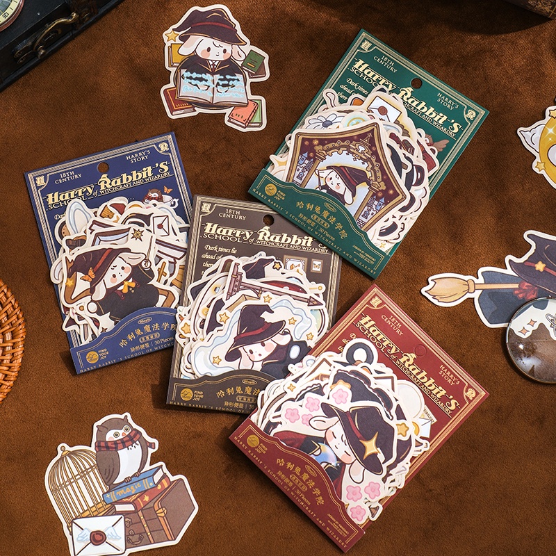 1PCS Harry Rabbit's School of Witchcraft and Wizardry Livro De Memórias ...