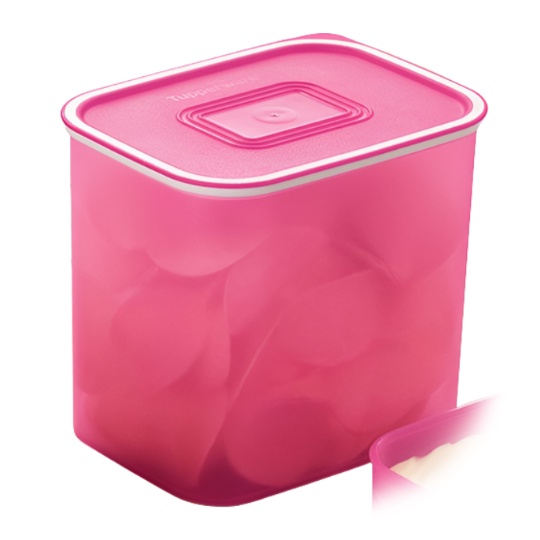 Tupperware Baseline Retangular 2,1L Pote Organizador | Shopee Brasil