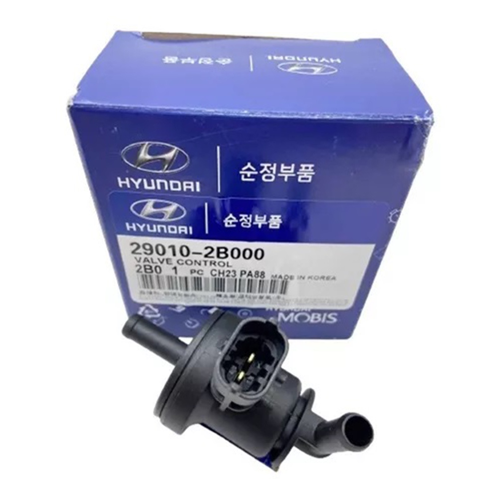 Valvula Canister Kia Hyundai I30 290102b000 | Shopee Brasil