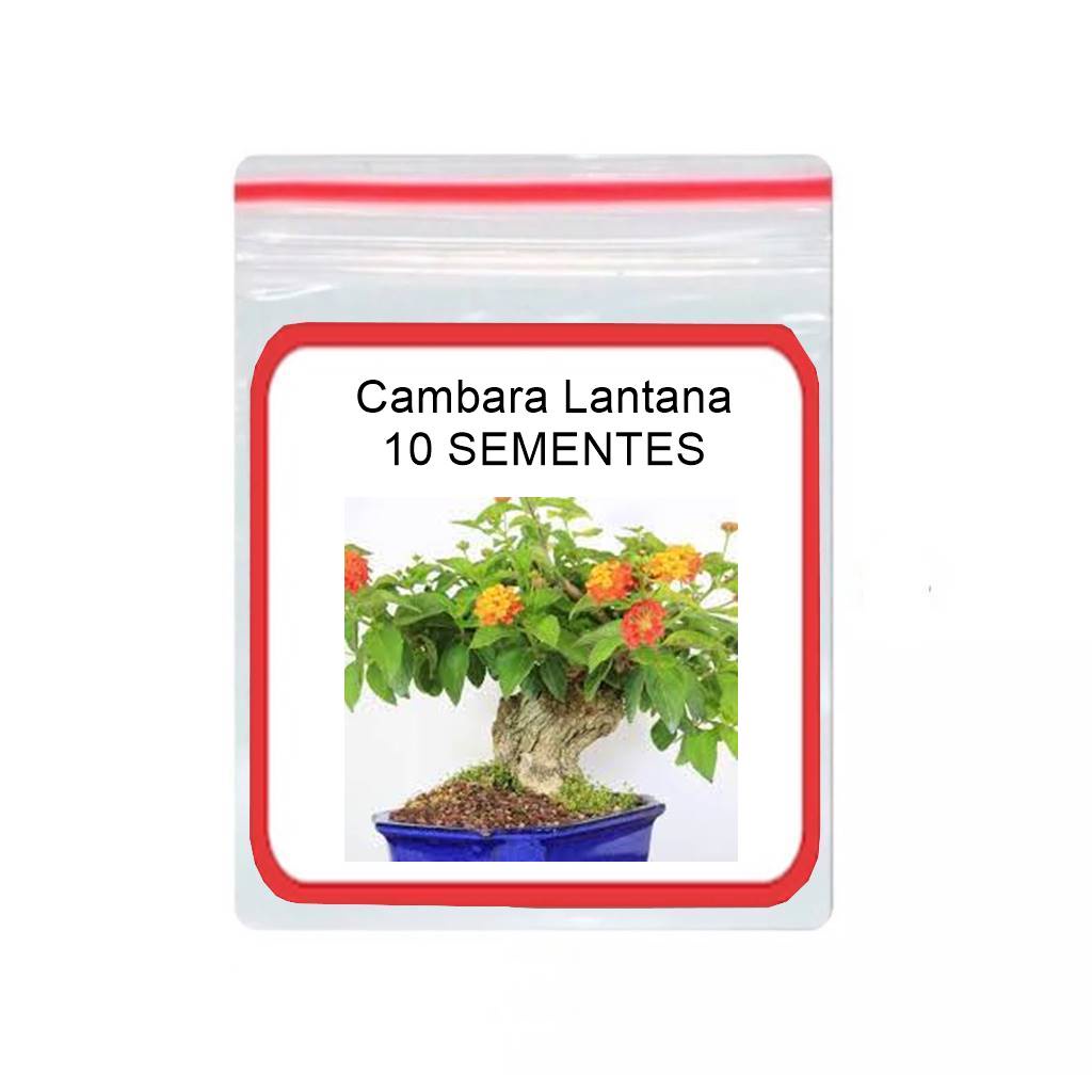 Flor Cambara Lantana Bonsai Camara 10 Sementes | Shopee Brasil
