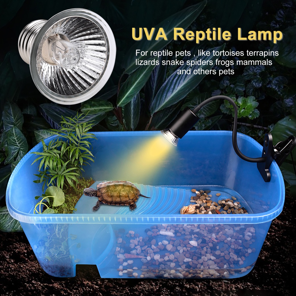 Kit De Lâmpadas UVB + UVA Para Répteis Com Suporte De Luz De Cerâmica Clip-on Tartaruga De ...