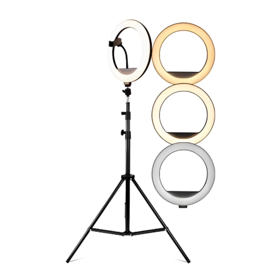 Ring Light Iluminador 10 Polegadas Com Tripé De 1.6Metros | Shopee Brasil