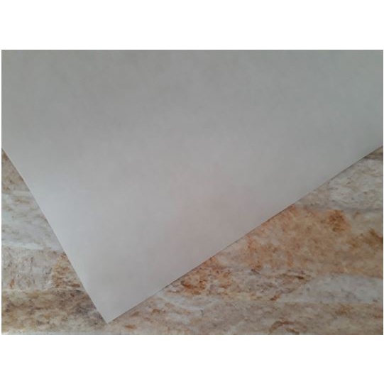 ENTRETELA DEFINITIVO TRANSPARENTE- 1 METRO X 0.48 LARGURA | CIRCULO ...