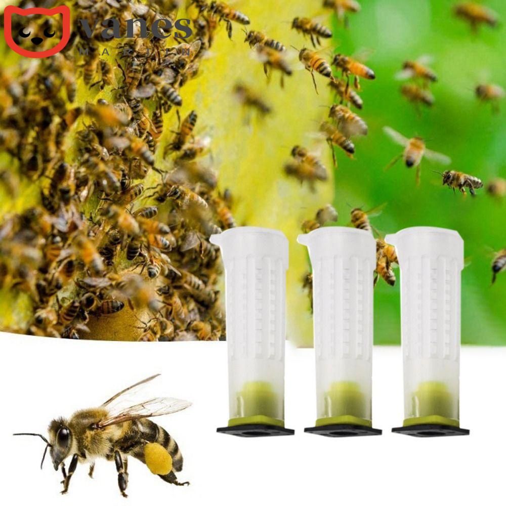 VANES Gaiolas De Apicultura Rainha 20pcs Gaiola Prática De Mordedura De Abelhas Brancas Duráveis ...