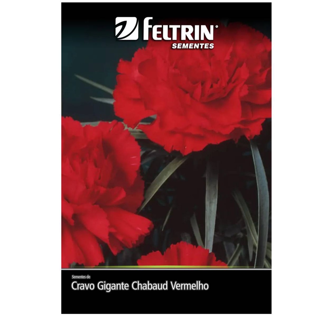 Sementes de Cravo Gigante Chabaud (Vermelho) FELTRIN | Shopee Brasil