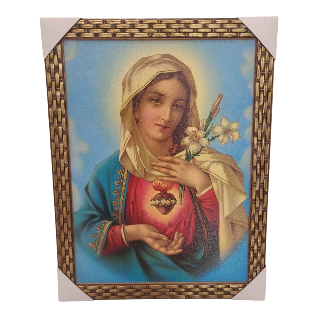 Quadro Decorativo Sagrado Coração De Maria Azul 35x45Cm | Shopee Brasil