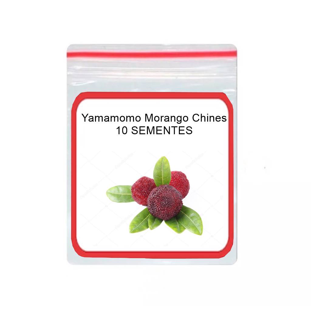 Myrica Rubra Fruta Yamamomo Morango Chines 10 Sementes | Shopee Brasil