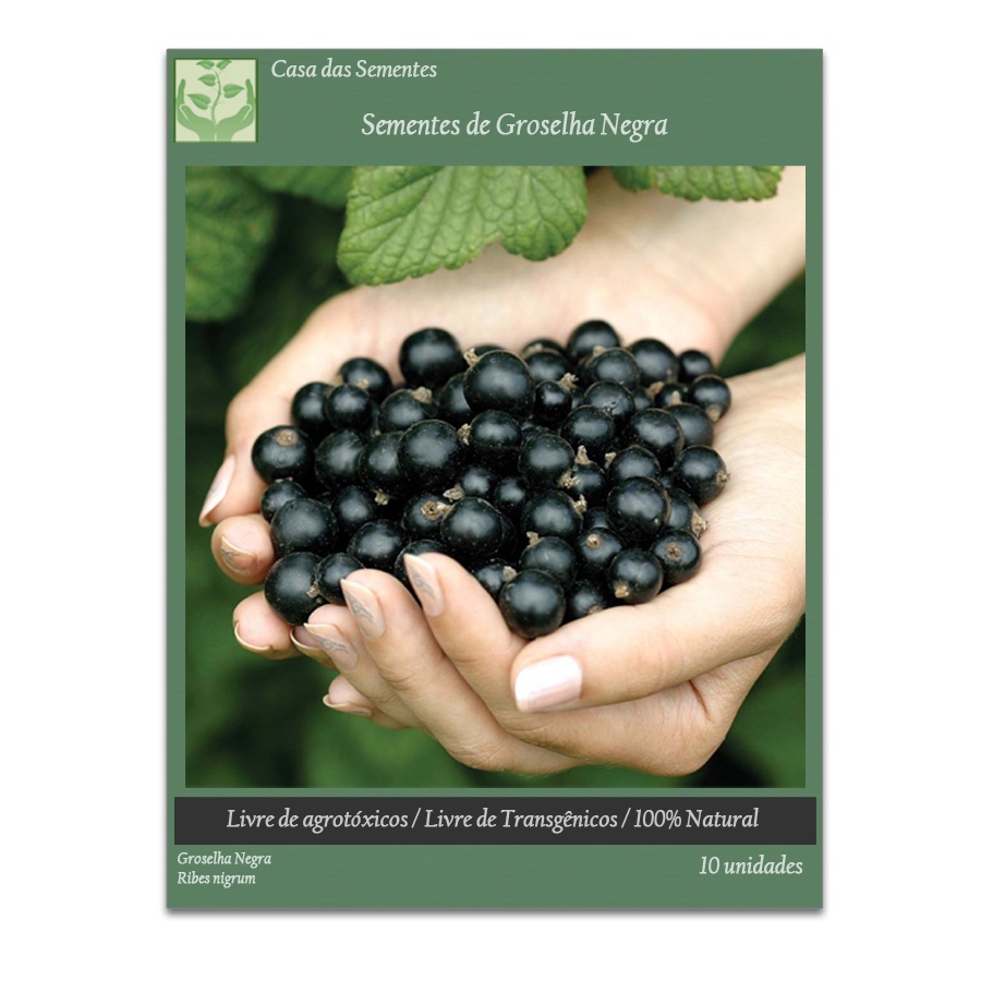 Kit Sementes de Groselha Negra para plantio de Mudas da fruta | Shopee ...