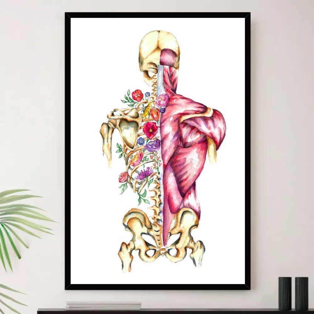 Quadro Corpo Humano Fisio Anatomia Decorativo A4 23x33cm | Shopee Brasil