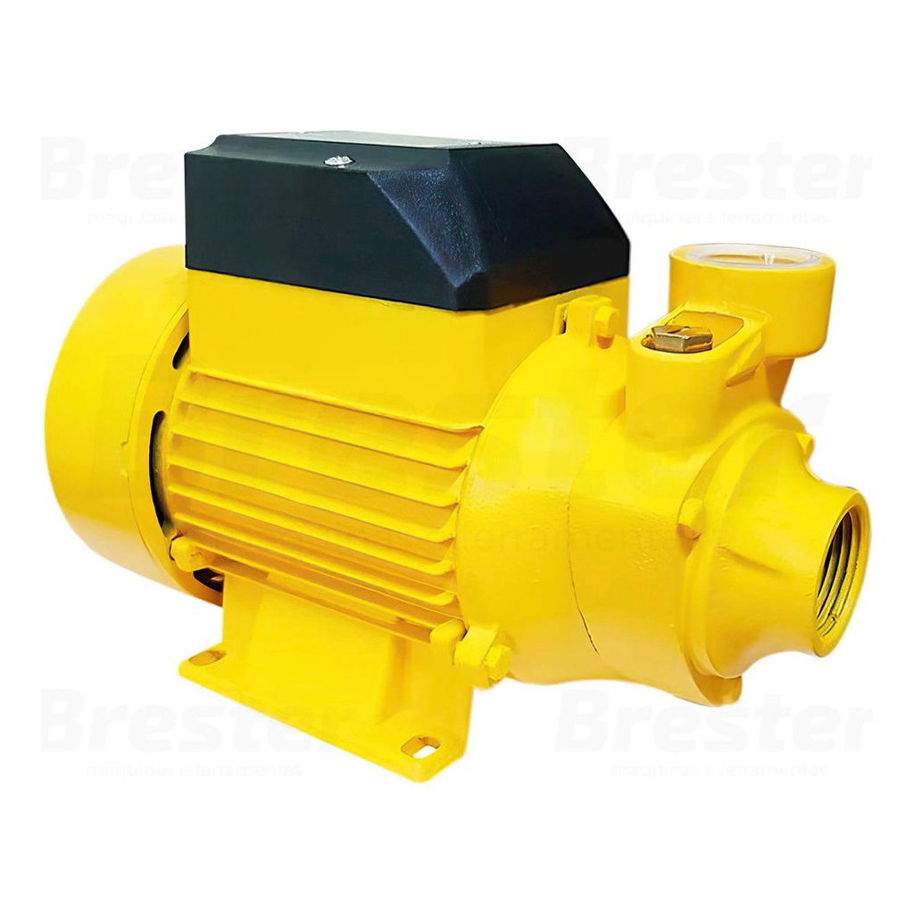 Fertak Bomba De Água Motobomba Periférica 1/2 HP 220V | Shopee Brasil