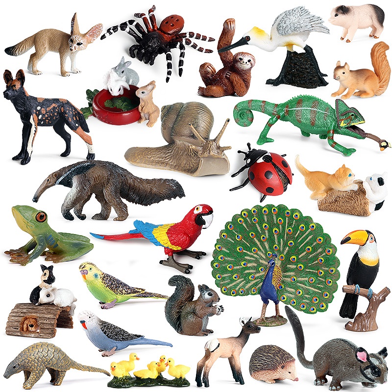 Simulação Animais Selvagens Pavão Papagaio Esquilo Coelho Gato Caracol ...