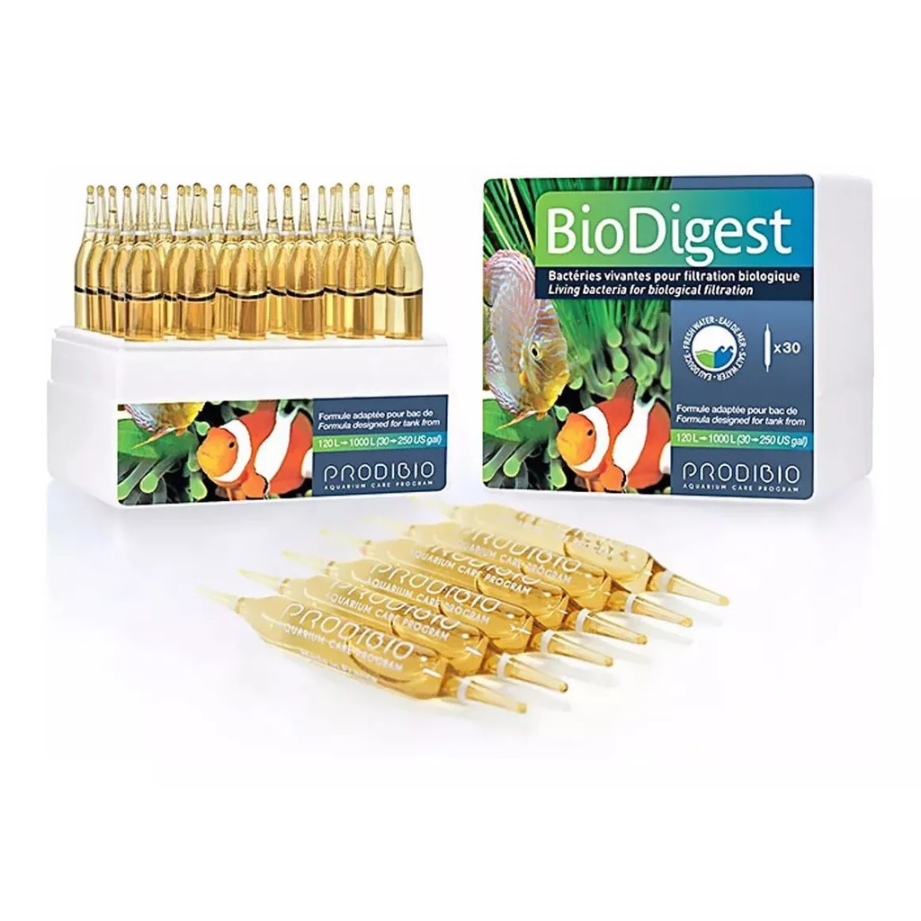 10 Ampolas Prodibio Biodigest 20 Bilhões De Bactérias Vivas | Shopee Brasil