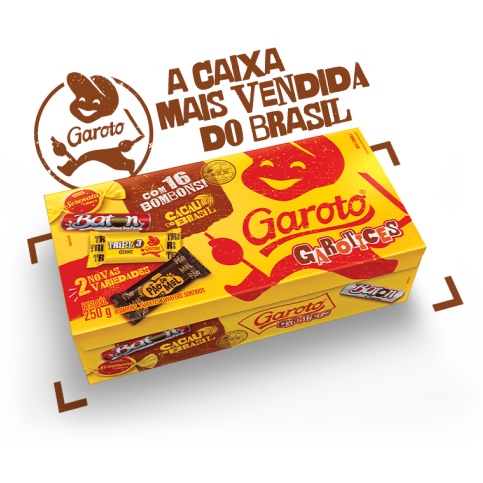 Caixa de Bombom Sortidos Garoto Garotices 250g com 16 Unidades | Shopee ...
