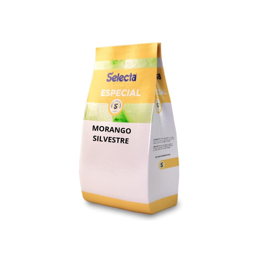 Saborizante Sorvete Selecta Especial Morango Silvestre 1kg | Shopee Brasil