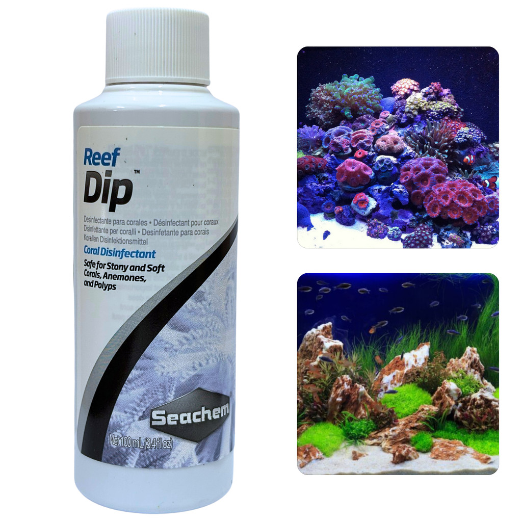 Desinfetante Para Coral Anêmona Seachem Reef Dip 100ml | Shopee Brasil