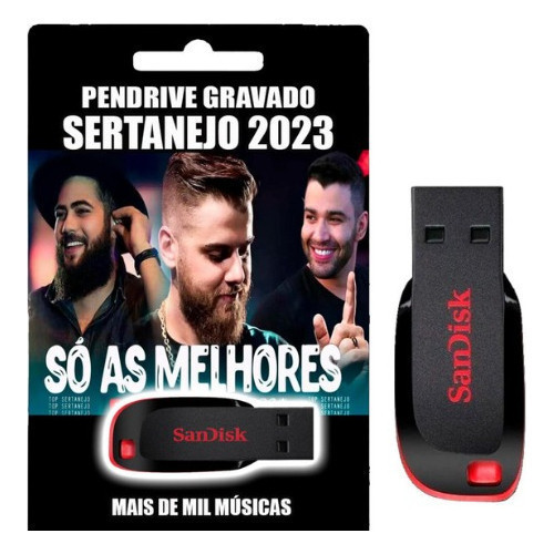 Pendrive Musical Com Coleção Exclusiva De Músicas Sertanejas | Shopee ...