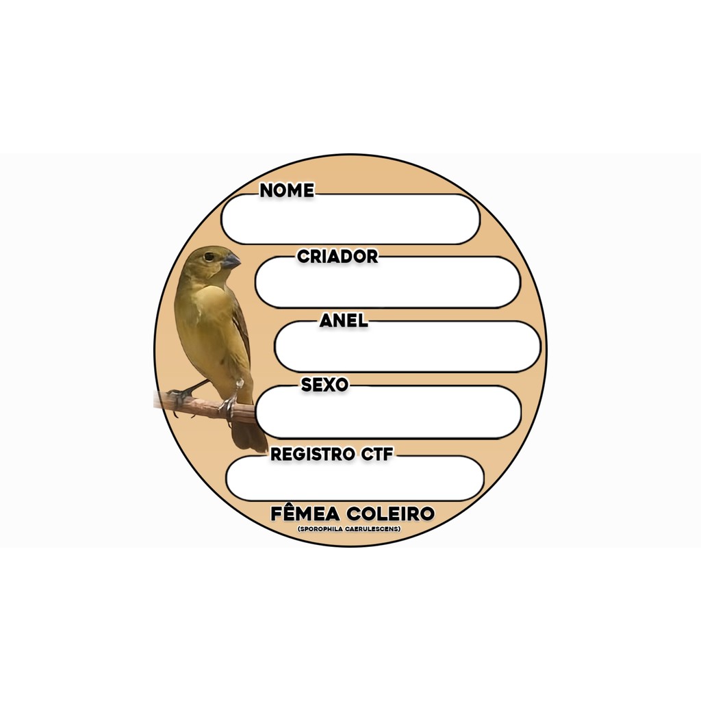 Placa Identificação - Coleiro | Shopee Brasil