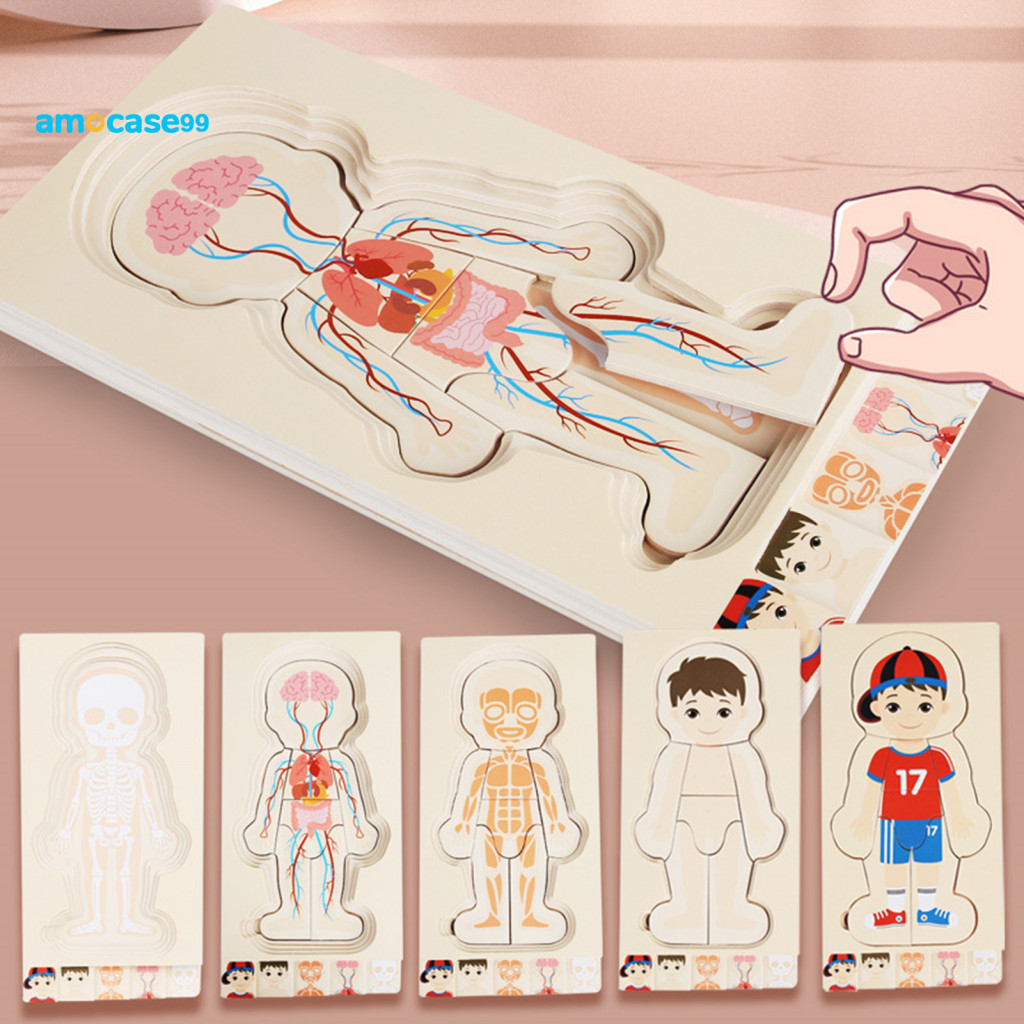 Anatomy Learning Puzzle Wooden 5-layer Human Body Board Educational Toy ...