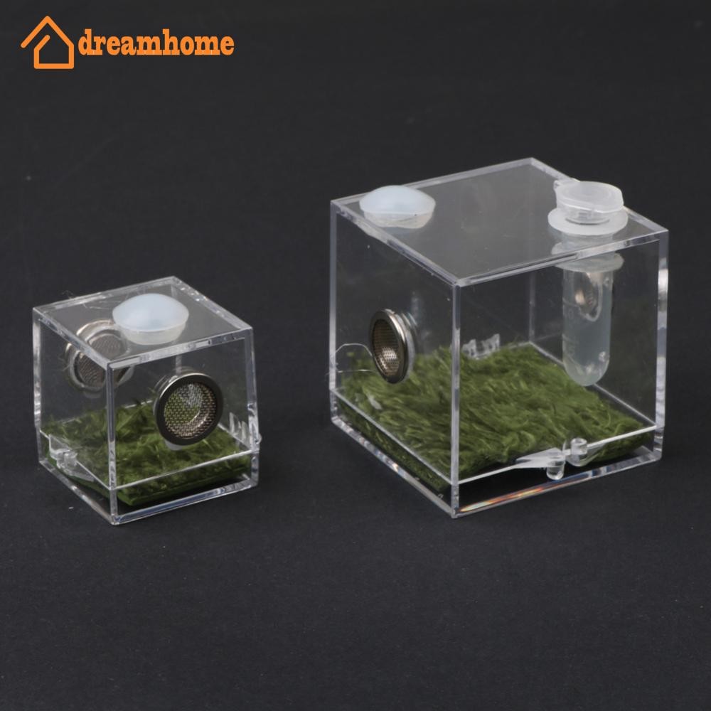 DREAMHOME 1 Conjunto De Insetos Respirável Terrário Formiga Fazenda ...