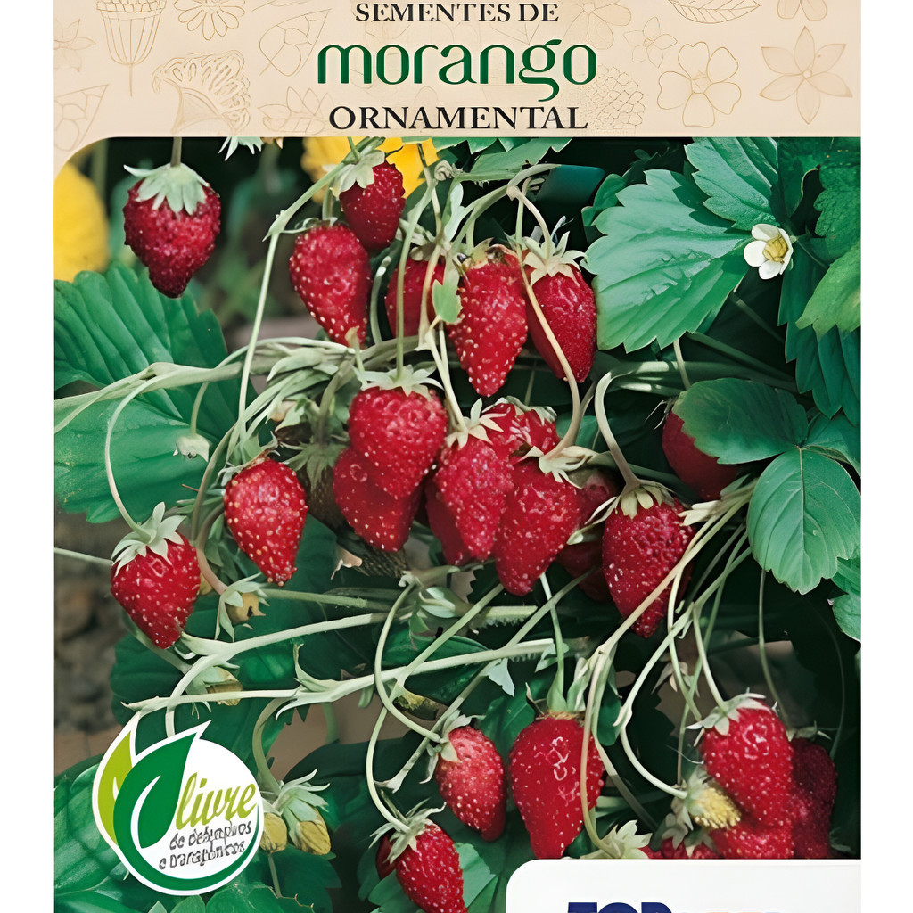 1000 Sementes Morango Silvestre (ornamental) Topseed | Shopee Brasil