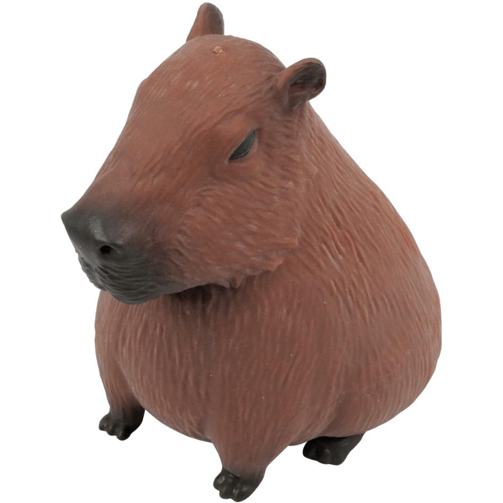 Capivara Divertida - Capivara que Estica - DM Toys | Shopee Brasil
