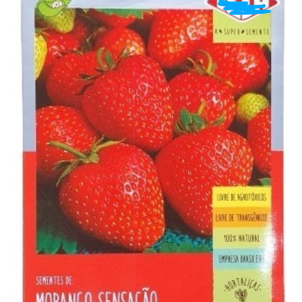 200 Sementes De Morango Sensação - 100% Natural | Shopee Brasil