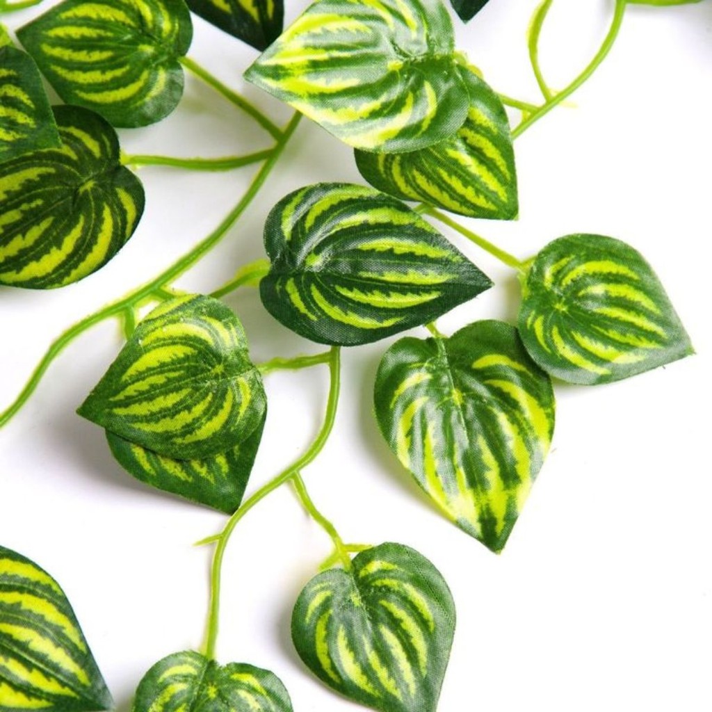 16Metros Melancia Folhas Grandes Planta Artificial Pendente | Shopee Brasil