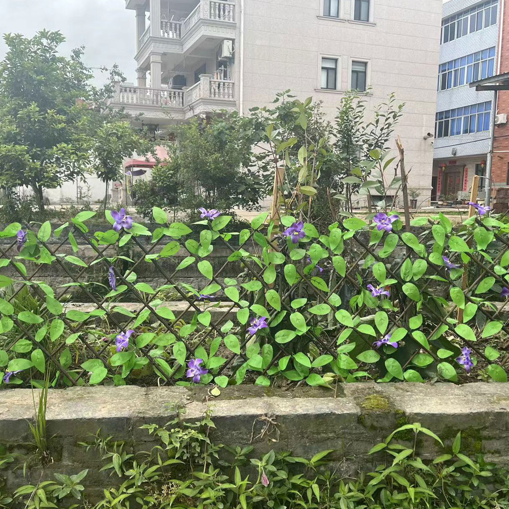 Tela De Privacidade Expansível Para Cerca , Plantas Ecológicas De Fácil ...