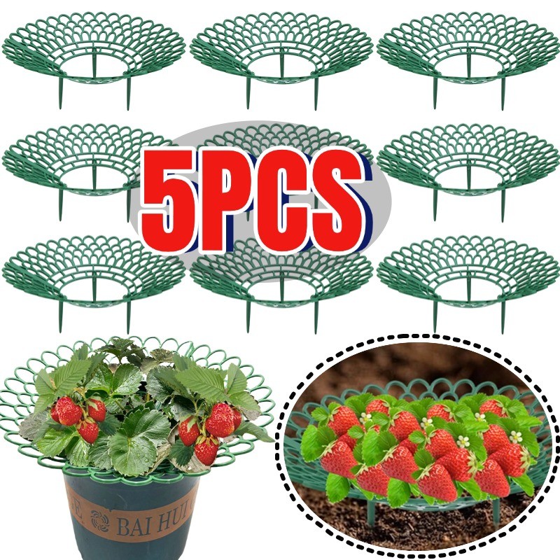 5 Pçs Morango Planta Suporta Mantendo Suporte De Frutas Em Forma De ...