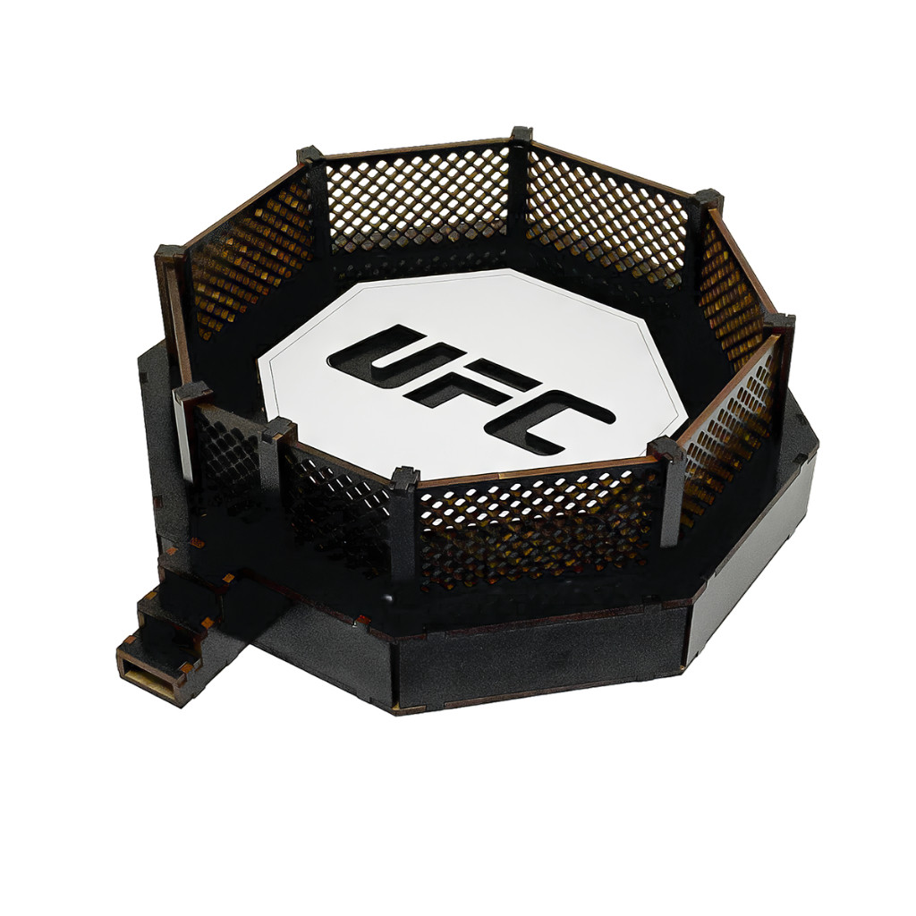 Miniatura Octógono 3d Lutas De Mma Jiu Jitsu Muay Thay mma setup ...